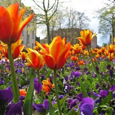 PENINSULA HARDWOOD MULCH - Updated December 2025 - 715 Lakeside Dr ...