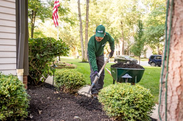 THE DAVEY TREE EXPERT COMPANY - Updated May 2026 - 21 Photos & 11 ...