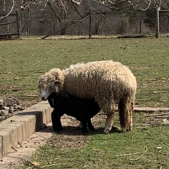 HOWELL LIVING HISTORY FARM - Updated December 2025 - 46 Photos & 21 ...