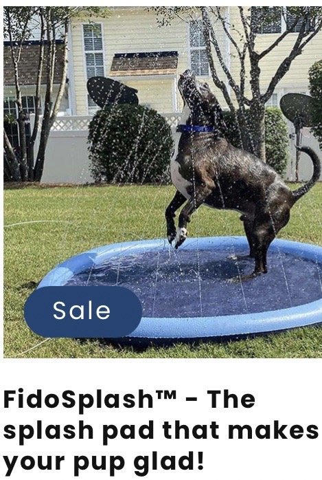 FIDO FAVES - Updated October 2025 - 10 Reviews - 1308 Coffeen Ave ...