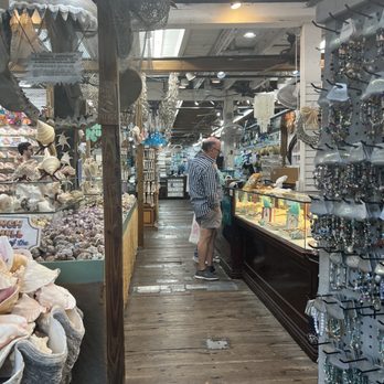 SHELL WAREHOUSE - Updated October 2025 - 39 Photos & 12 Reviews - 1 ...