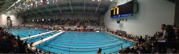 WEYERHAEUSER KING COUNTY AQUATIC CENTER - 27 Reviews - Swimming Pools ...