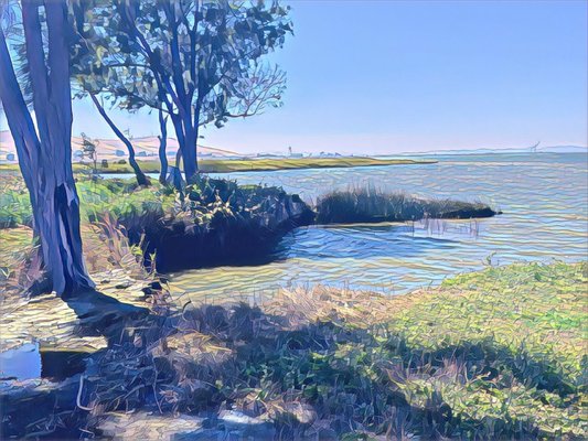 BAY POINT REGIONAL SHORELINE - Updated December 2025 - 33 Photos ...