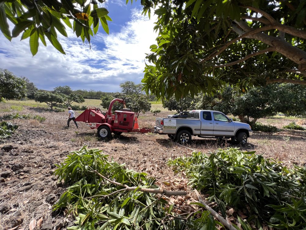 ONE TWO TREE CARE - Updated July 2025 - 18 Photos - Kailua-Kona, Hawaii ...