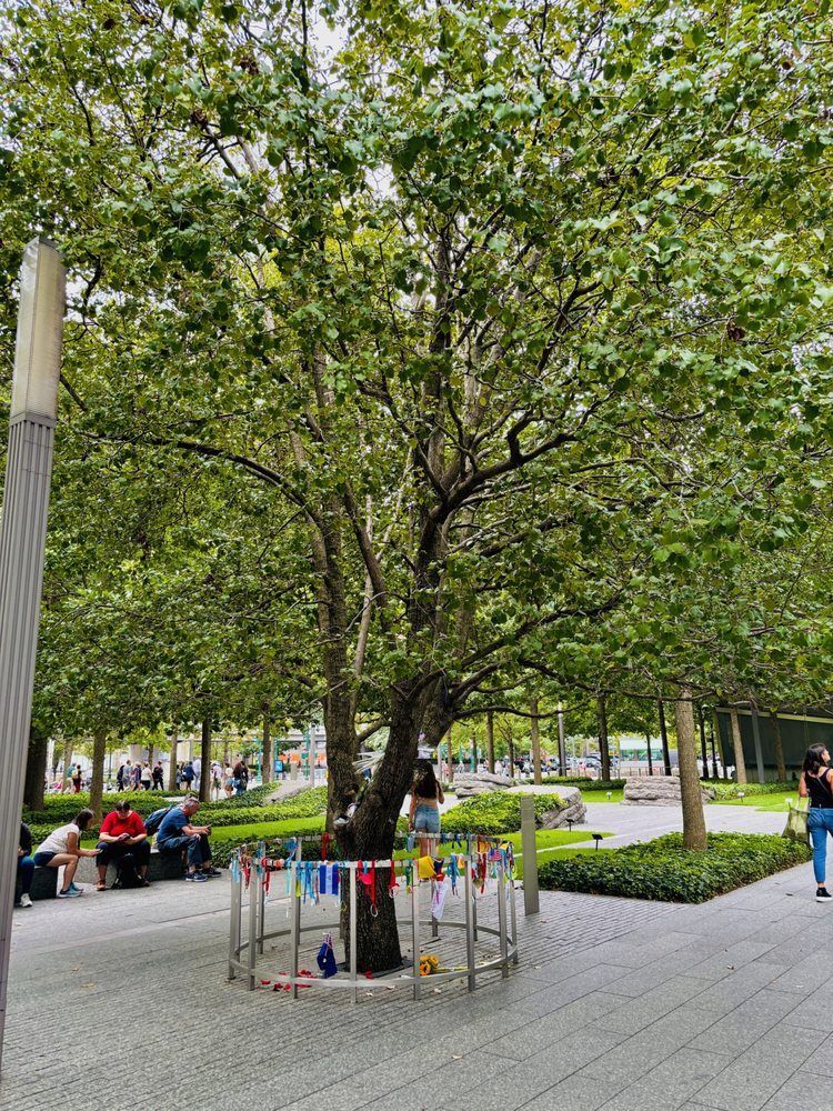 SURVIVOR TREE - Updated May 2026 - 12 Photos - New York, New York ...