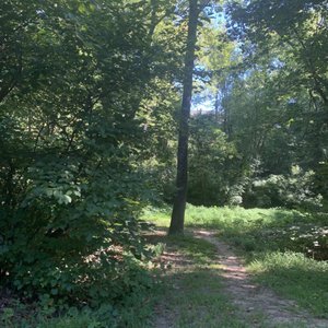 BUDDY ATTICK PARK - Updated June 2025 - 46 Photos & 11 Reviews - 555 ...