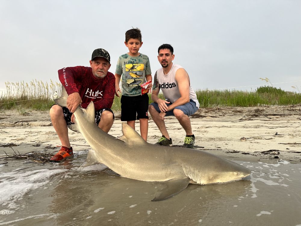 DREAMTEAM LAND BASED SHARK FISHING - Updated June 2025 - 15 Photos - St ...