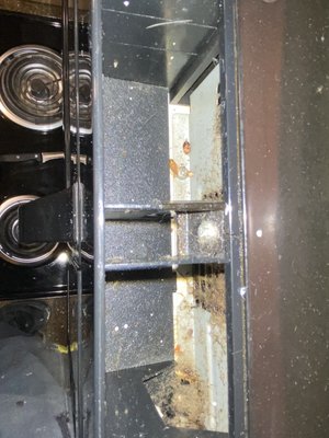 THE BRIDGE AT CENTER RIDGE - Updated December 2025 - 71 Photos & 37 ...