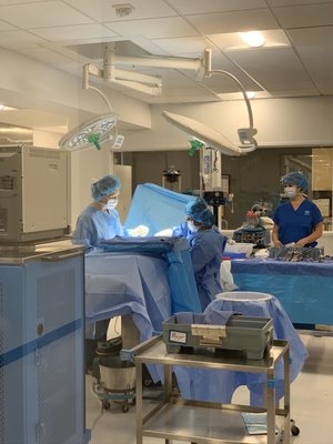 CNI COLLEGE - Updated October 2025 - 115 Photos & 194 Reviews - 1610 E ...