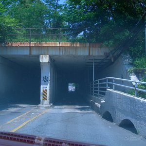 THE DEVIL’S TREE - Updated December 2025 - Mountain Rd, Basking Ridge ...