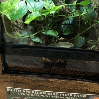 SNAKE DISCOVERY A REPTILE EXPERIENCE - Updated October 2025 - 44 Photos ...