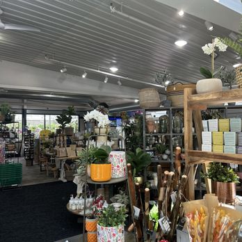 CAFE AQUI - Updated December 2025 - 158 Photos & 39 Reviews - 1811 2nd ...