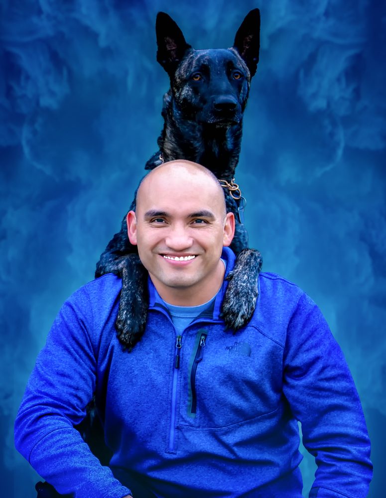 FIRST CLASS DOG TRAINING - Updated July 2025 - 10 Reviews - 7868 Old M ...