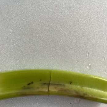 PENALTY BOX - Updated December 2025 - 42 Reviews - 3277 Pittston Ave ...