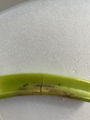 PENALTY BOX - Updated December 2025 - 42 Reviews - 3277 Pittston Ave ...