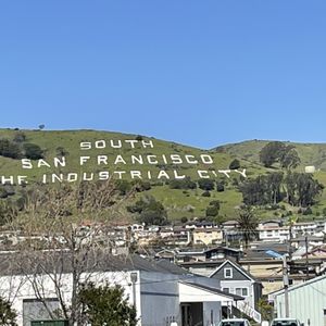 SAN FRANCISCO COUNTY FAIR BUILDING - 82 Photos - 9TH Ave And Lincoln ...