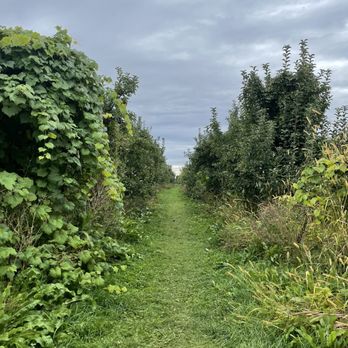 WINDY HILL ORCHARD - Updated October 2025 - 53 Photos & 14 Reviews ...