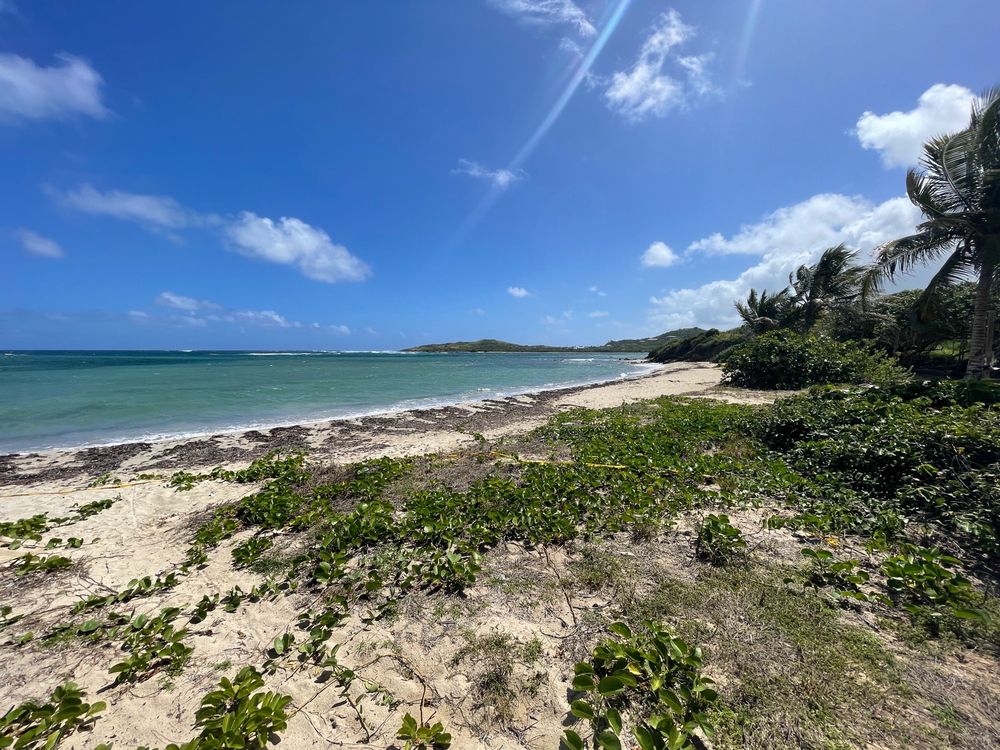 SALT RIVER BAY NATIONAL HISTORIC PARK AND ECOLOGICAL PRESERVE - 14 ...
