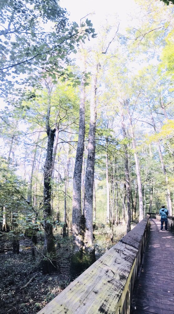 TICKFAW STATE PARK - Updated October 2024 - 111 Photos & 23 Reviews ...