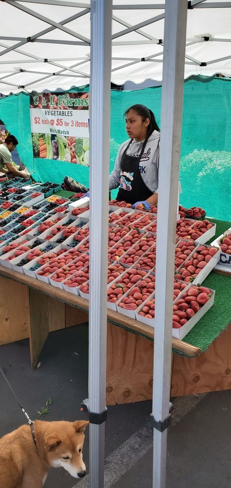 MARINA DEL REY FARMERS MARKET - 116 Photos & 44 Reviews - Farmers ...