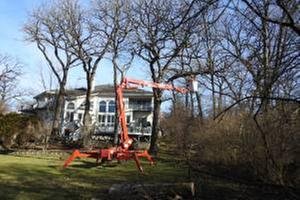 SMITTY’S TREE SERVICE - Updated October 2025 - 84 Photos & 61 Reviews ...
