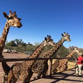 PHOENIX ZOO - 2196 Photos & 964 Reviews - 455 N Galvin Pkwy, Phoenix ...