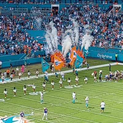 MIAMI DOLPHINS - Updated December 2025 - 74 Photos - 7500 SW 30th St ...