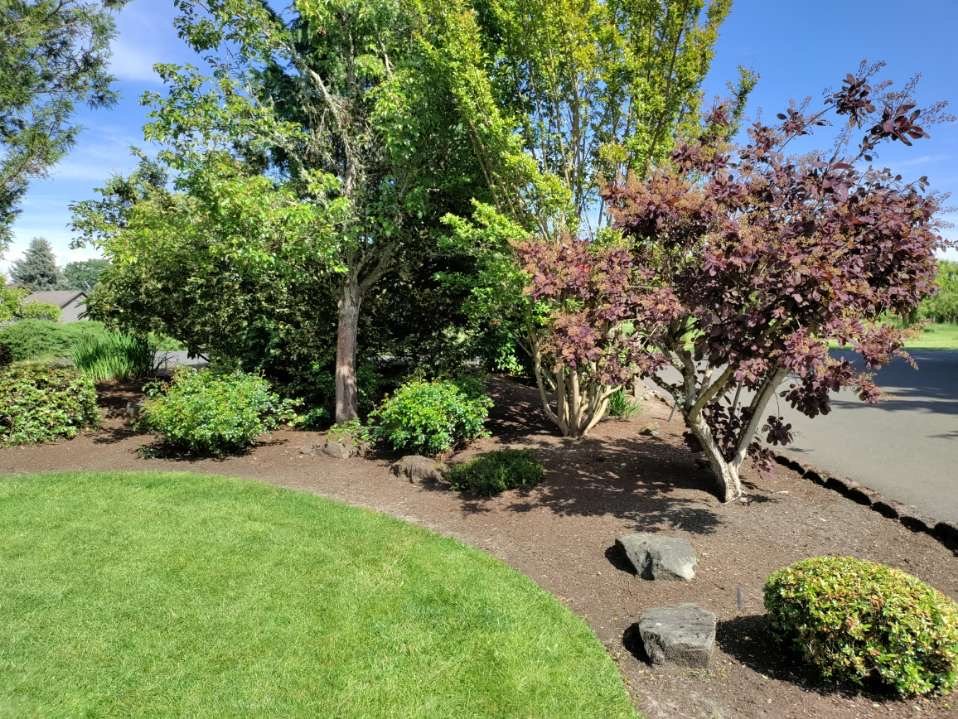 DANIEL V LANDSCAPING - Landscaping - Vancouver, WA - Phone Number - Yelp
