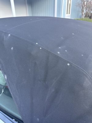 BLUE DIAMOND DISPOSAL - Updated January 2026 - 22 Photos & 22 Reviews ...