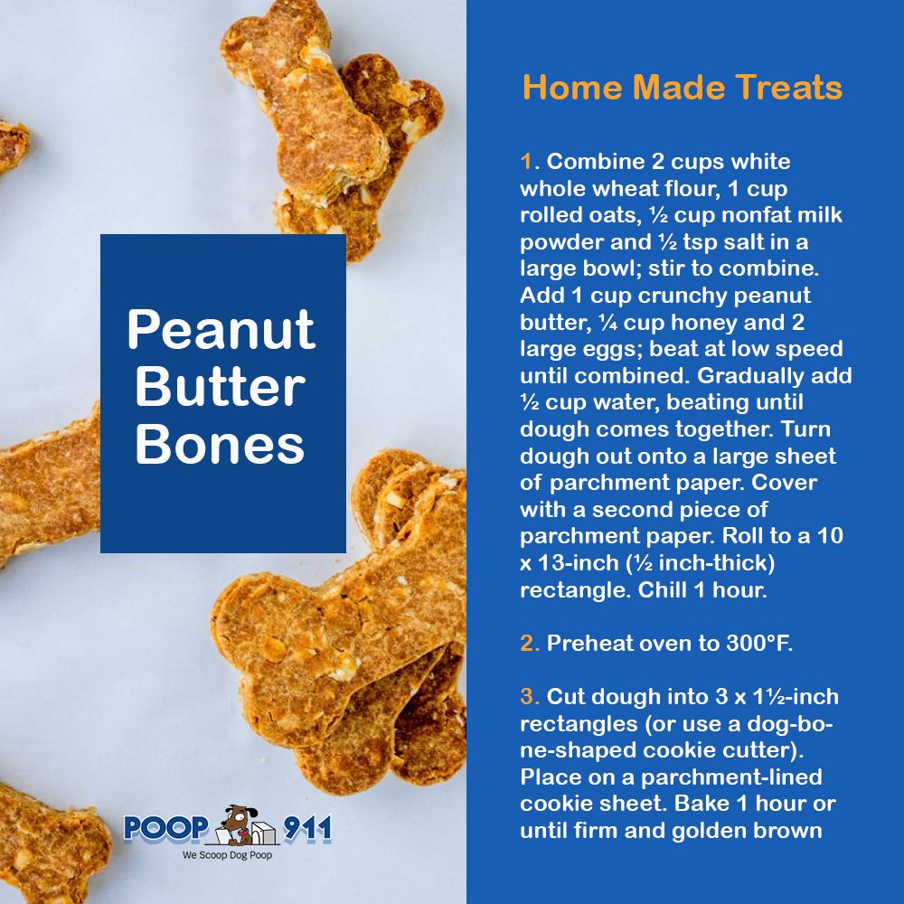 Same Day Service at POOP 911 Beverly Hills - Updated April 2025 - 11 ...