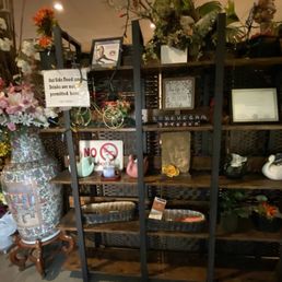 CHEF KENNY’S VEGAN DIM SUM - Updated December 2025 - 1806 Photos & 680 ...