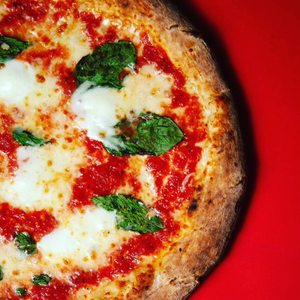 SLICEABILITY - 17 Photos & 15 Reviews - 420 Vision Dr, Cumming, Georgia ...