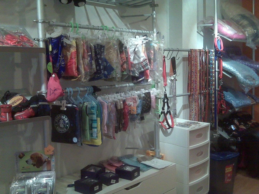 THE DOG IDOL - Updated October 2025 - 38 Buttonfield Road, Markham ...