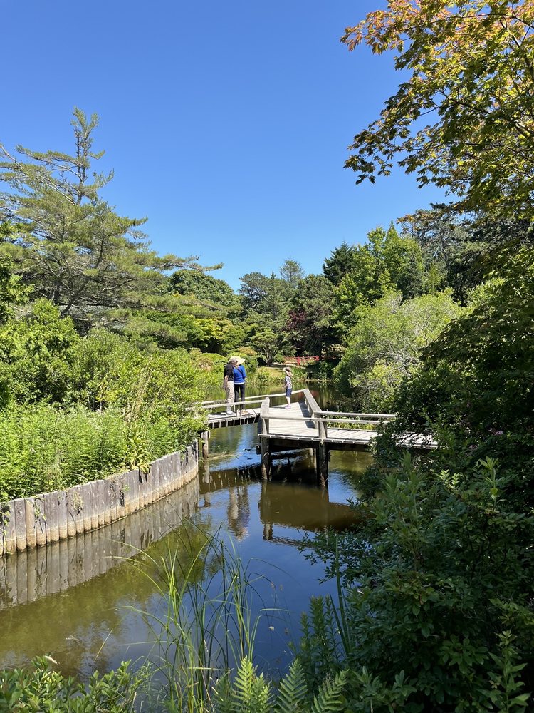 MYTOI JAPANESE GARDENS - Updated November 2025 - 19 Photos - 41 Dike Rd ...