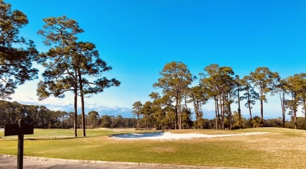 JEKYLL ISLAND GOLF COURSES - Updated June 2024 - 55 Photos - Beachview ...