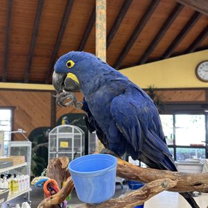 MAGNOLIA BIRD FARM - 121 Photos & 159 Reviews - 12200 Magnolia Ave ...