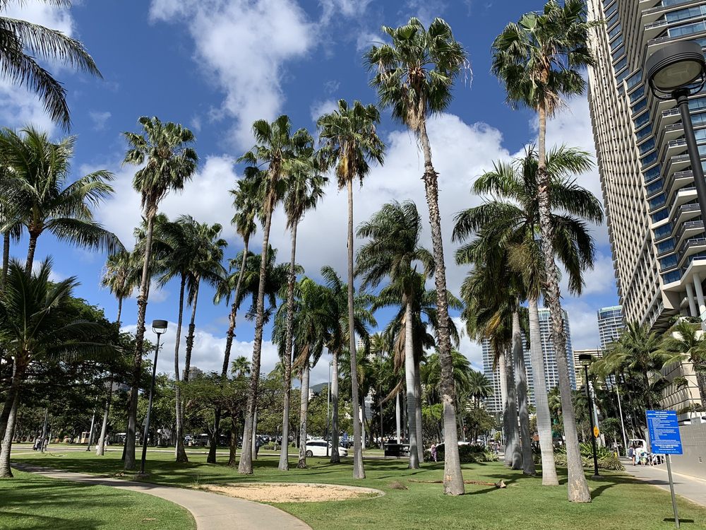 FORT DERUSSY BEACH PARK - 248 Photos & 80 Reviews - 2161 Kalia Rd ...