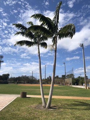 MICKEL PARK 【22 Photos】 2675 NW 7th Ave, Wilton Manors, Florida - Parks ...