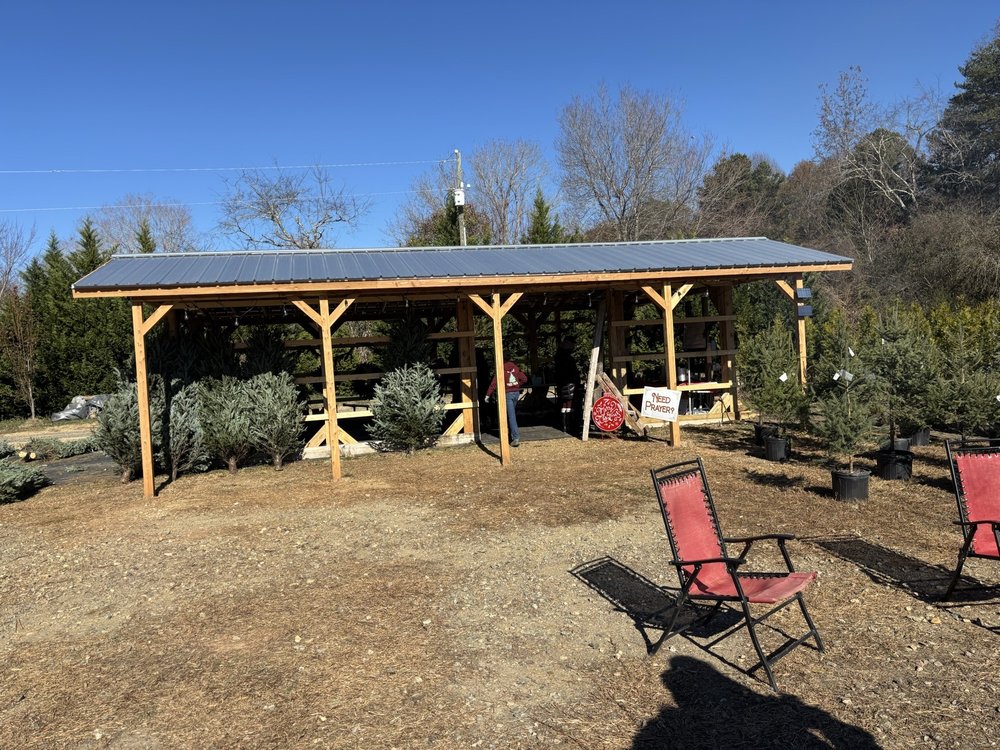 GRACE TREE FARM - Updated December 2025 - 1292 Beth Haven Church Rd ...