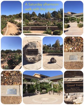 SACRAMENTO PUBLIC LIBRARY - SOUTH NATOMAS - Updated December 2025 - 58 ...