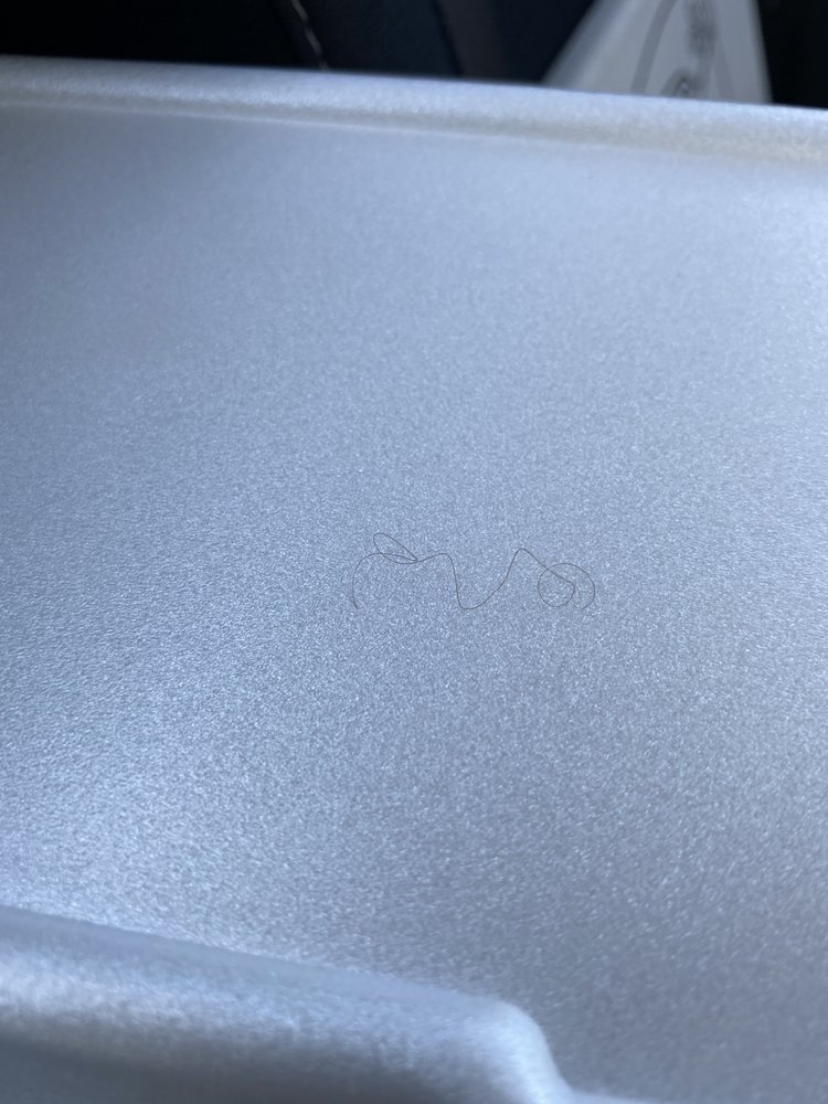 JERRY J’S - Updated December 2025 - 21 Photos & 48 Reviews - 1404 Plant ...