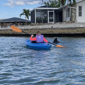 CAPRI FISH HOUSE - 218 Photos & 291 Reviews - 203 Capri Blvd, Naples ...