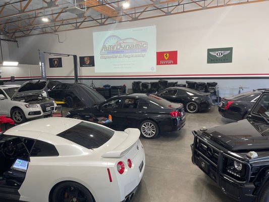 AUTO DYNAMIC SERVICES - Updated October 2025 - 28 Photos & 59 Reviews ...