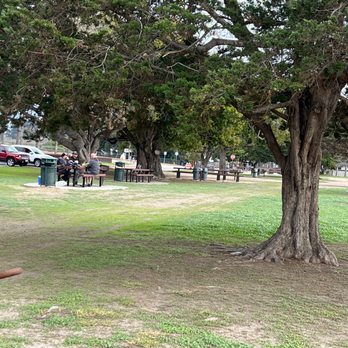 GOLETA BEACH PARK - Updated November 2024 - 290 Photos & 84 Reviews ...