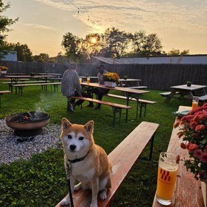 BUNKER BREWING - Updated January 2025 - 95 Photos & 58 Reviews - 17 ...