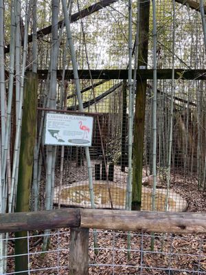 ZOOSIANA ZOO OF ACADIANA - Updated December 2025 - 78 Photos & 41 ...