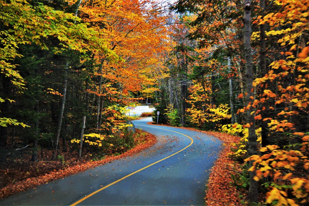 PARK LOOP ROAD - Updated October 2025 - 15 Photos - 25 Visitor Center ...