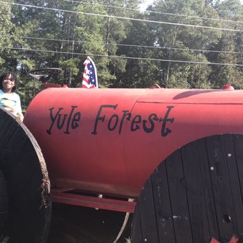 YULE FOREST - Updated October 2025 - 143 Photos & 38 Reviews - 3565 Hwy ...
