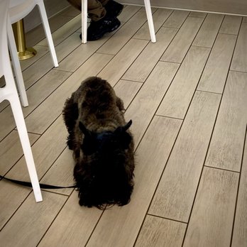 BEAR COAST COFFEE - Updated November 2024 - 70 Photos & 49 Reviews ...