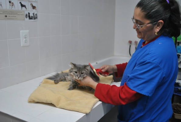 RIVERSIDE VETERINARY CLINIC - Updated December 2025 - 22 Photos & 102 ...